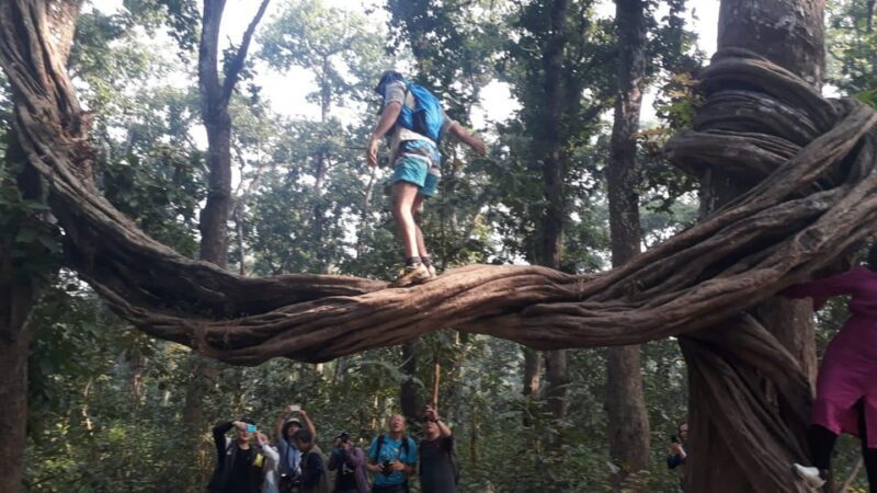 From Pokhara: 3 Day 2 Night Wildlife Chitwan Tour Package - Practical Tips for Travelers