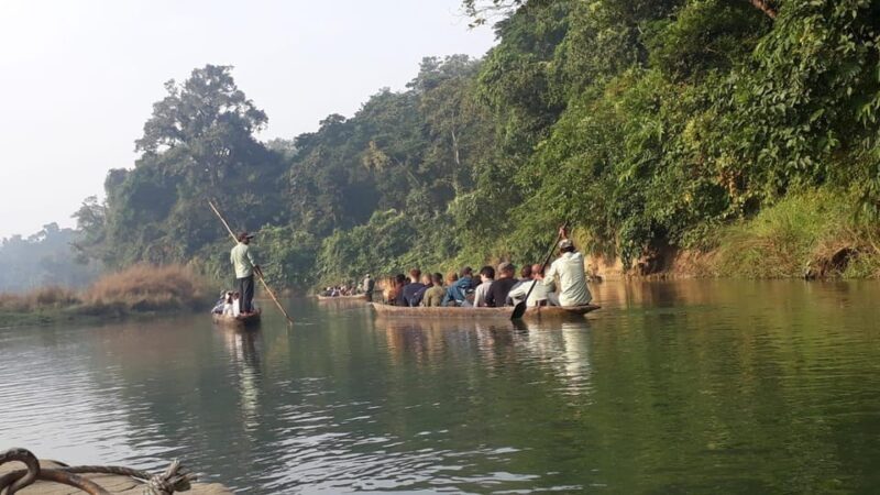 From Pokhara: 3 Day 2 Night Wildlife Chitwan Tour Package - The Value of This Tour