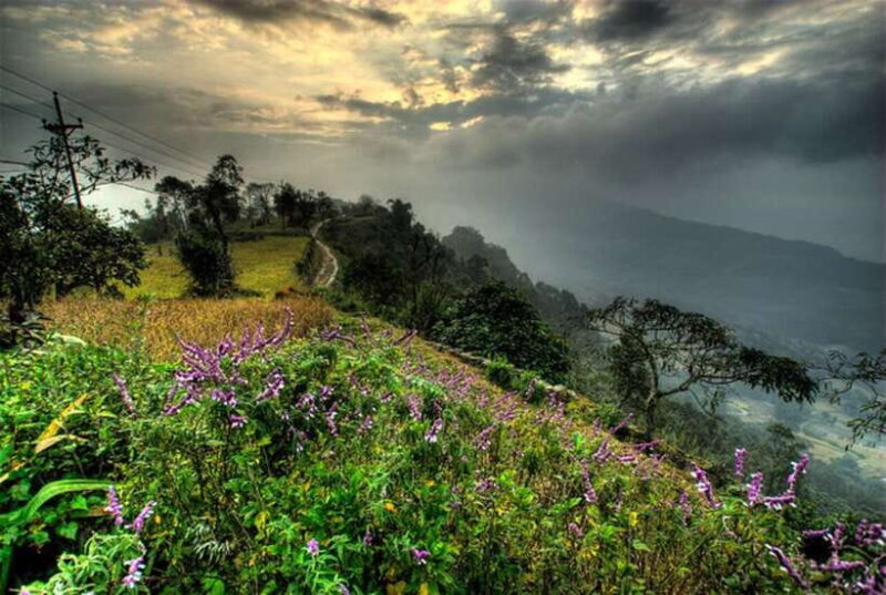 From Pokhara: 3 Day Dhampus-Sarangkot Trek - Key Points