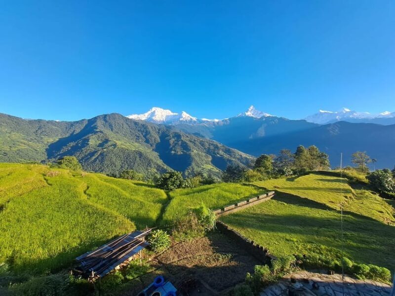 From Pokhara: 3-Day Ghorepani Poonhill Short Trek - FAQs