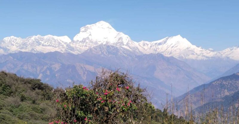 From Pokhara: 4-Day Annapurna and Poon Hill Himalayan Trek - Who Is This Tour Best For?