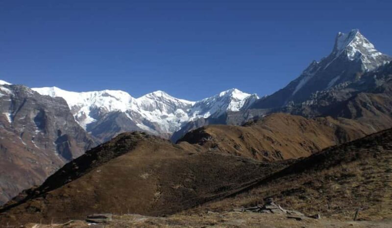 From Pokhara: 4-Day Madi Himalayan Base Camp Trek - Authentic Experiences and Traveler Feedback