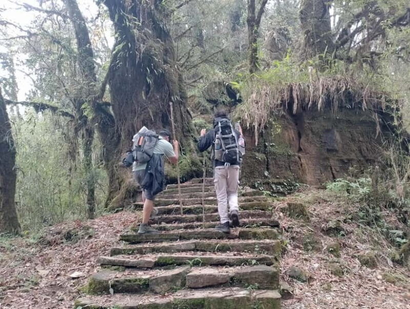 From Pokhara: 4-Day Mardi Himal Base Camp Trek - What Makes This Trek Stand Out?