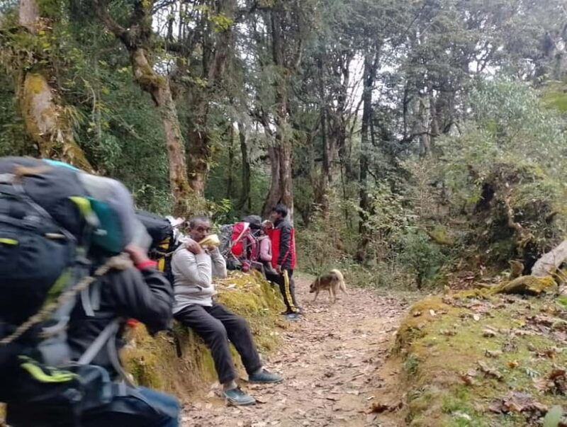 From Pokhara: 4-Day Mardi Himal Base Camp Trek - Authenticity and Local Culture