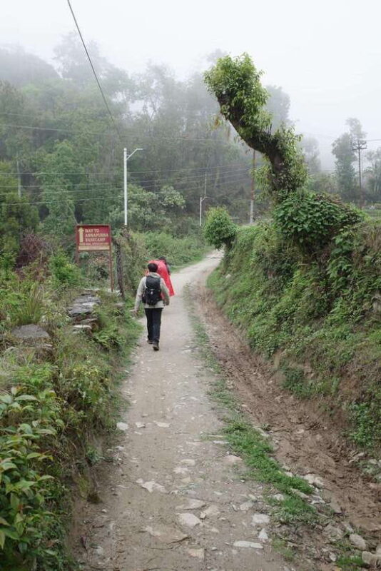 from Pokhara: 4-Day Mardi Himal Trek with Guide - Key Points