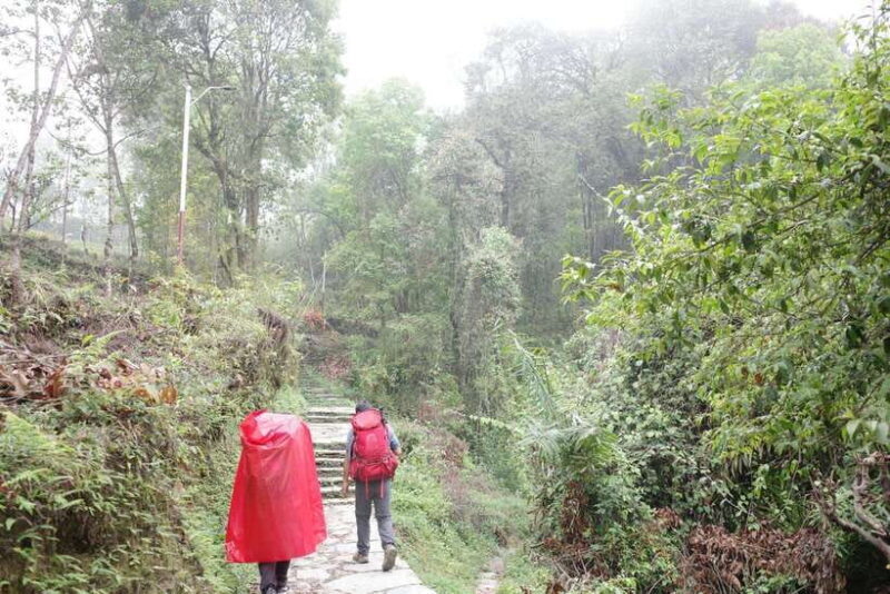 from Pokhara: 4-Day Mardi Himal Trek with Guide - A Closer Look at the Itinerary and Experience