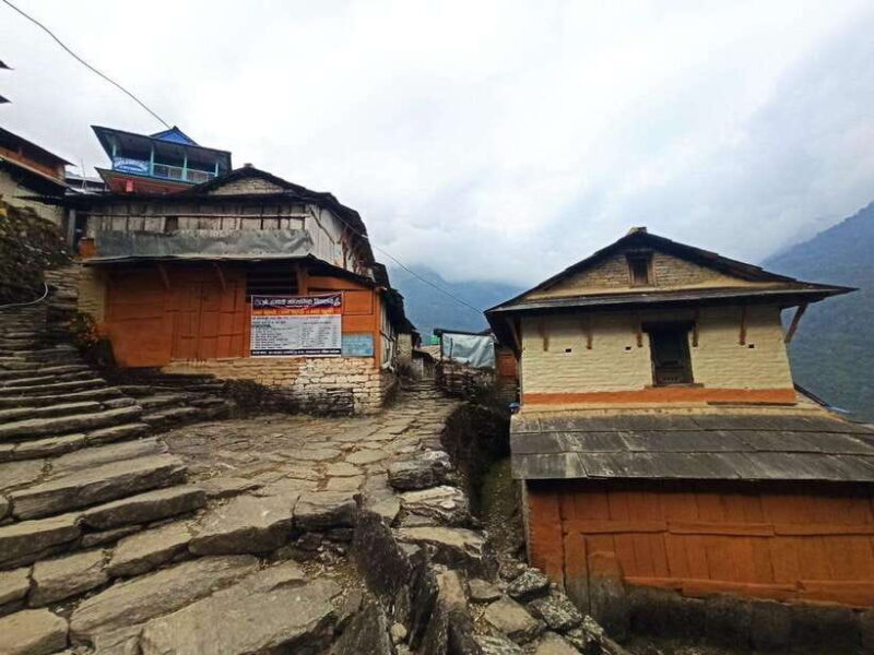 From Pokhara: 4-Day Poon Hill Trek with Transfers - An In-Depth Look at the 4-Day Poon Hill Trek