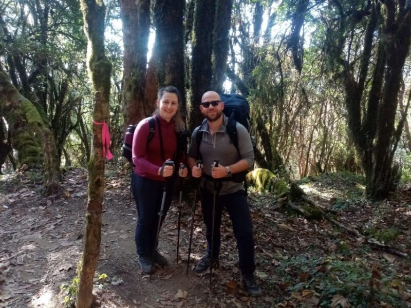 From Pokhara: 4 Days Mardi Himal Base Camp Trek - Final Thoughts