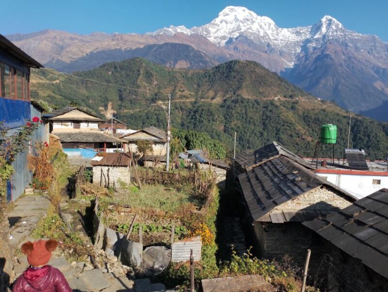 From Pokhara: 5 Day Annapurna Base Camp Trek - Experience Overview: Why This Trek Is Worth Your Time