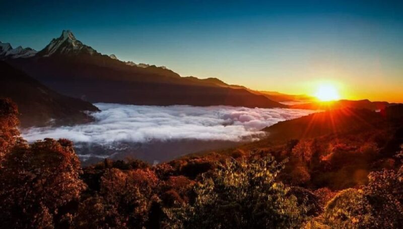 From Pokhara: 5-Day Annapurna Basecamp Trek with Hot Springs - An In-Depth Look at the Trek Experience