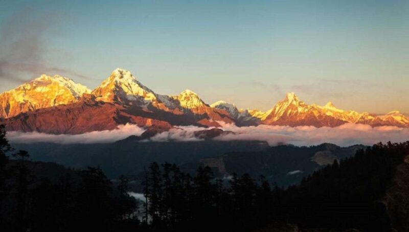 From Pokhara: 5-Day Annapurna Basecamp Trek with Hot Springs - Practicalities and Tips