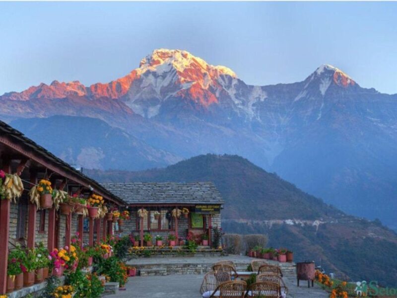 From Pokhara: 5-Day Mardi Himal Base Camp Trek - Authenticity and Comfort: Staying in Mountain Tea Houses