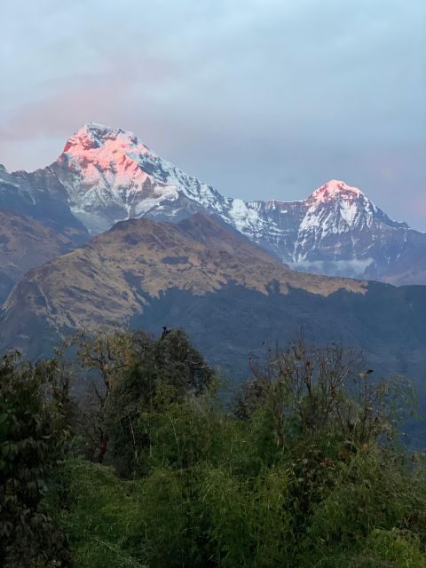 From Pokhara: 5-Day Mardi Himal Base Camp Trek - Transportation, Timing, and Booking