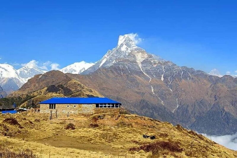 From Pokhara: 5-Day Mardi Himal Base Camp Trek - A Few Considerations