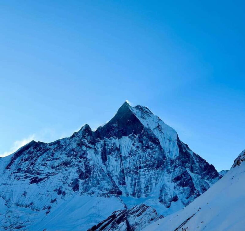 From Pokhara: 7-Day Annapurna Base Camp and Chitwan Tour - Key Points