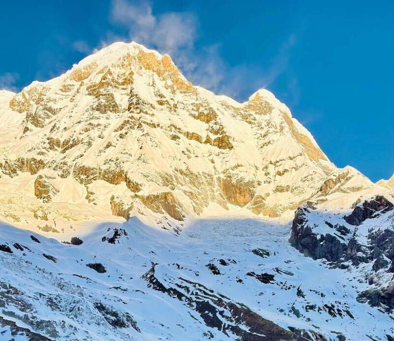 From Pokhara: 7-Day Annapurna Base Camp and Chitwan Tour - From Trekking to Jungle Safari