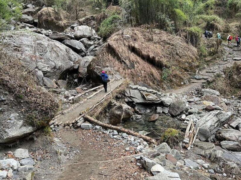 From Pokhara: 7-Day Annapurna Base Camp Trek - An In-Depth Look at the 7-Day Itinerary