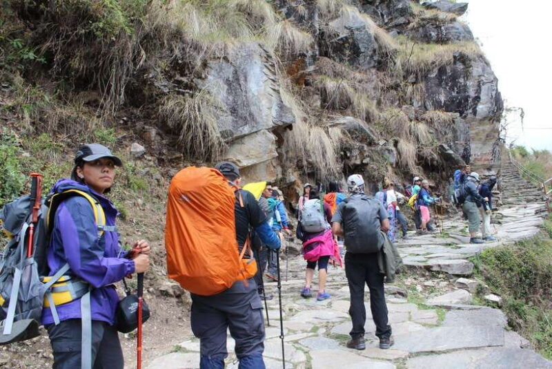 from Pokhara: 7-Day Annapurna Base Camp Trek - What Makes This Trek Special?