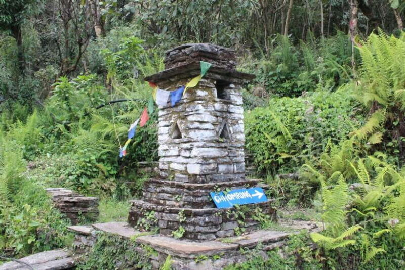 from Pokhara: 7-Day Annapurna Base Camp Trek - What to Expect and How to Prepare