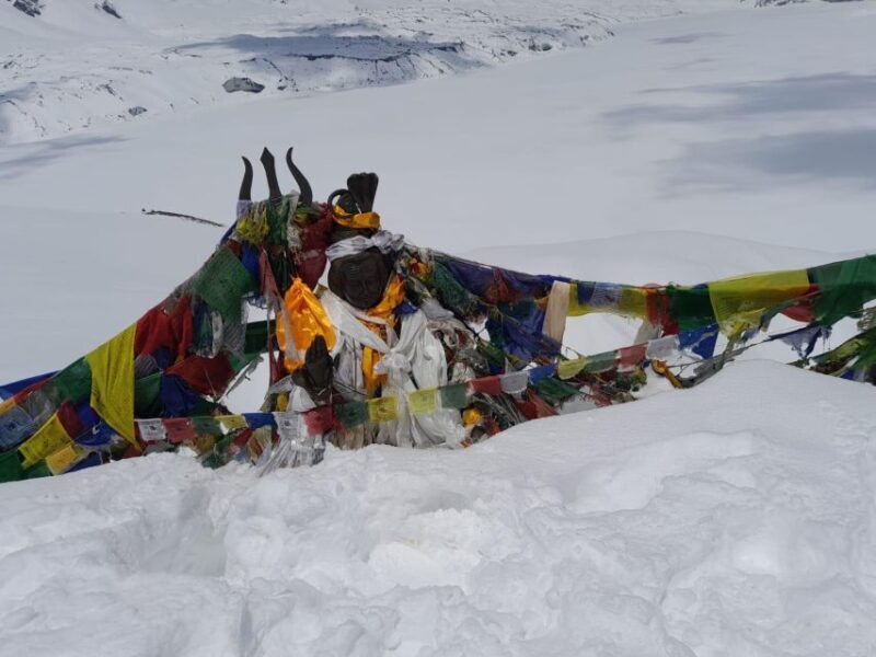 From Pokhara: 7 Days Annapurna Basecamp Trek - An In-Depth Look at the Trek Itinerary