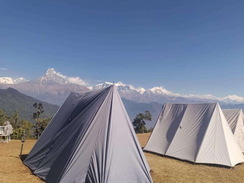 From Pokhara: A 7-Day Trek to the Heart of the Himalayas - Final Thoughts: Who This Trek Is Perfect For