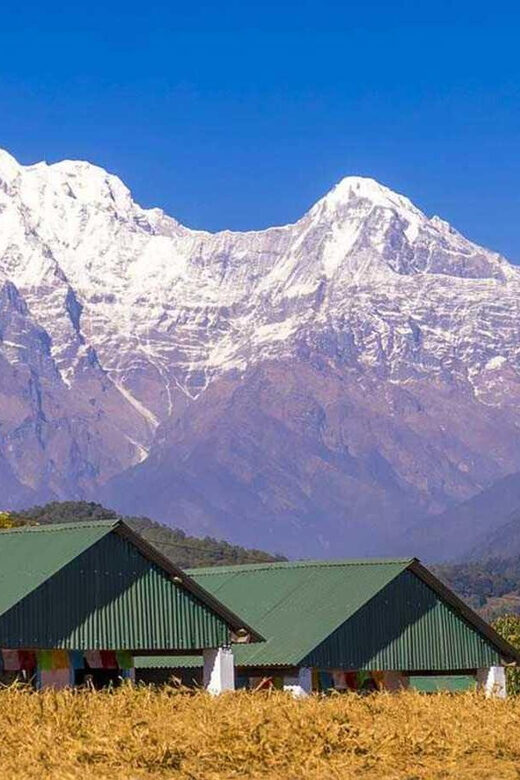 From Pokhara: Annapurna View Day Hike - What Travelers Are Saying