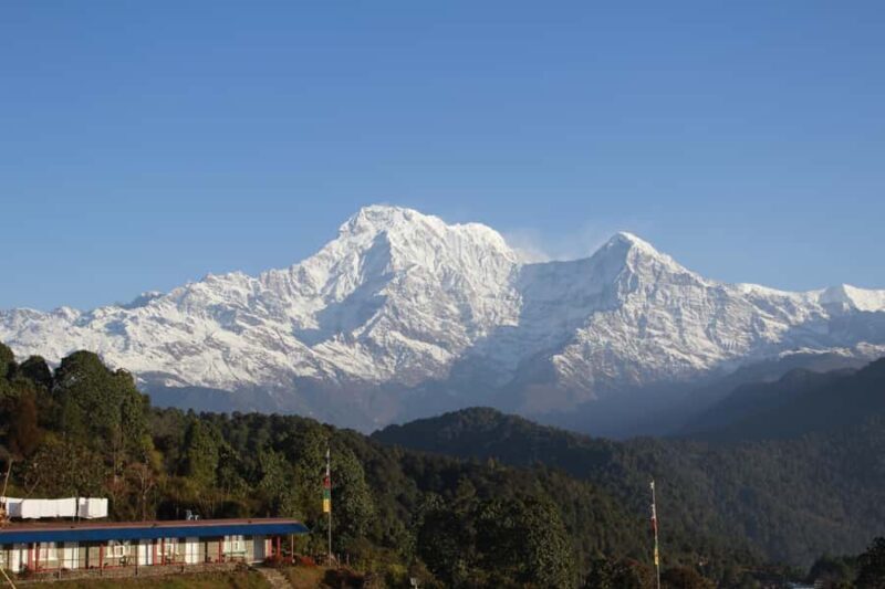 From Pokhara: Australian Camp and Dhampus Guided Day Hike - An Introduction to the Experience