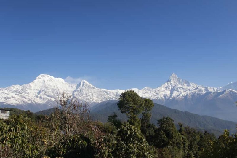 From Pokhara: Australian Camp and Dhampus Guided Day Hike - What Makes This Tour Special