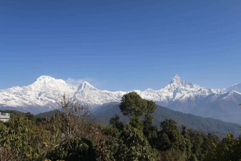 From Pokhara: Australian Camp and Dhampus Guided Day Hike - What Makes This Tour Stand Out