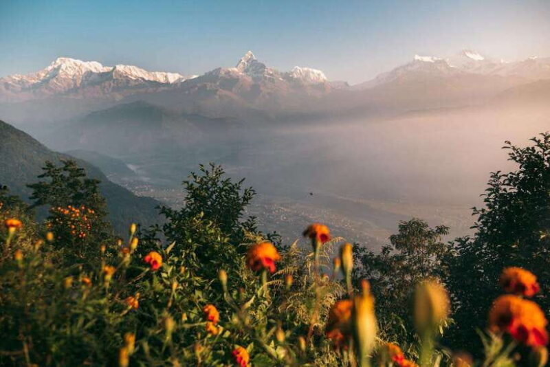 From Pokhara: Beautiful Peace Pagoda & Shiva Statue Day Hike - The Experience in Detail