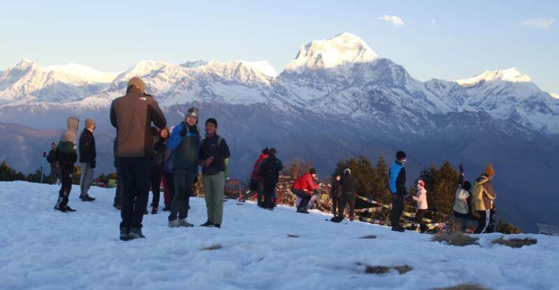 From Pokhara Budget: 2 Day 1 Night Ghorepani Poon Hill Trek - An In-Depth Look at the Poon Hill Trek