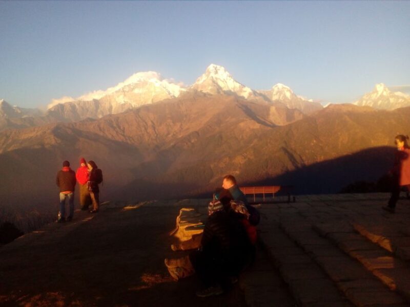 From Pokhara: Budget 2 Night 3 days Poon hill trek - Authentic Experiences and Real Feedback