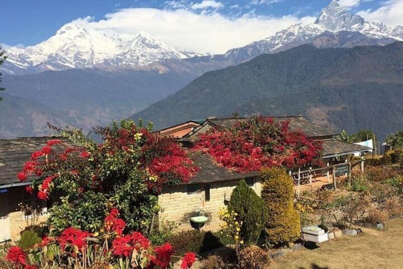 From Pokhara: Full Day Hiking to Astam Village - Final Thoughts: Who Will Love This Tour?