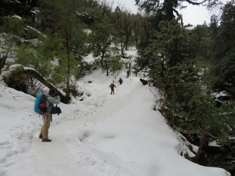 From Pokhara - Ghorepani Poon Hill Ghandruk Trek - 4 Days - Final Thoughts: Who Is This Trek Best For?