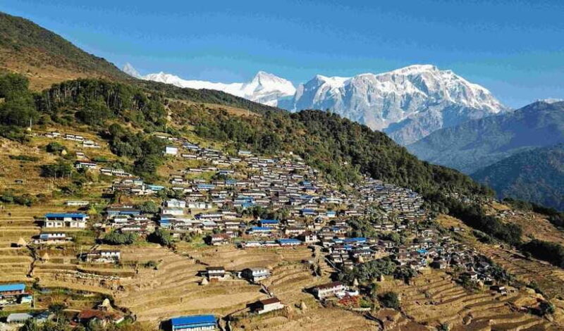 From Pokhara: Kori Danda Trek with Sikles Village Stay - Transportation and Accommodation