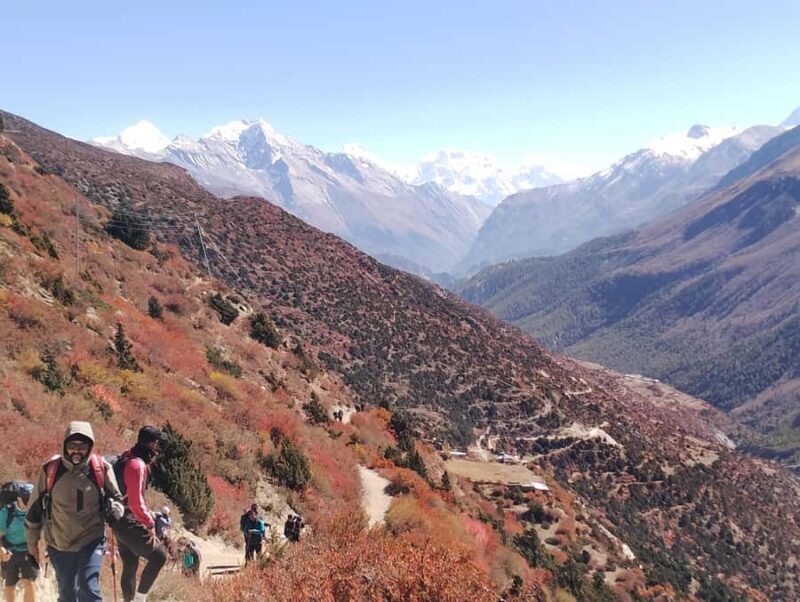 From Pokhara: Poon Hill, Ghandruk & Australian Camp Trek - Key Points