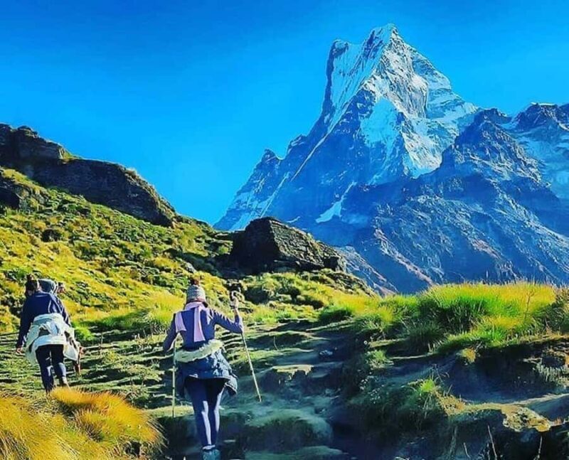 From Pokhara: Private 4-Day Mardi Himal Base Camp Trek - Transport and Logistics