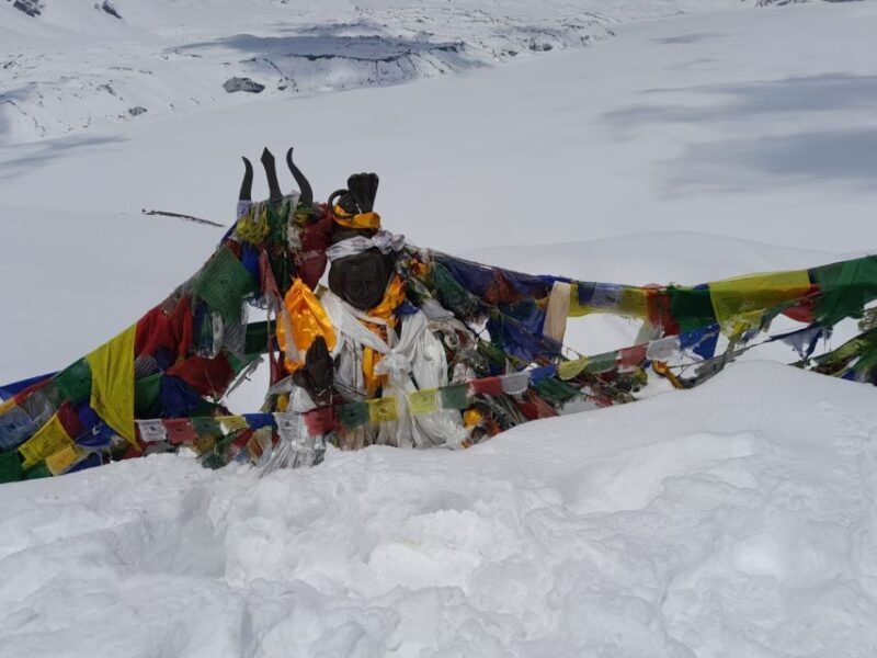 From Pokhara: Private 5-Day AnnapurnaBasecamp Trek - Itinerary Breakdown