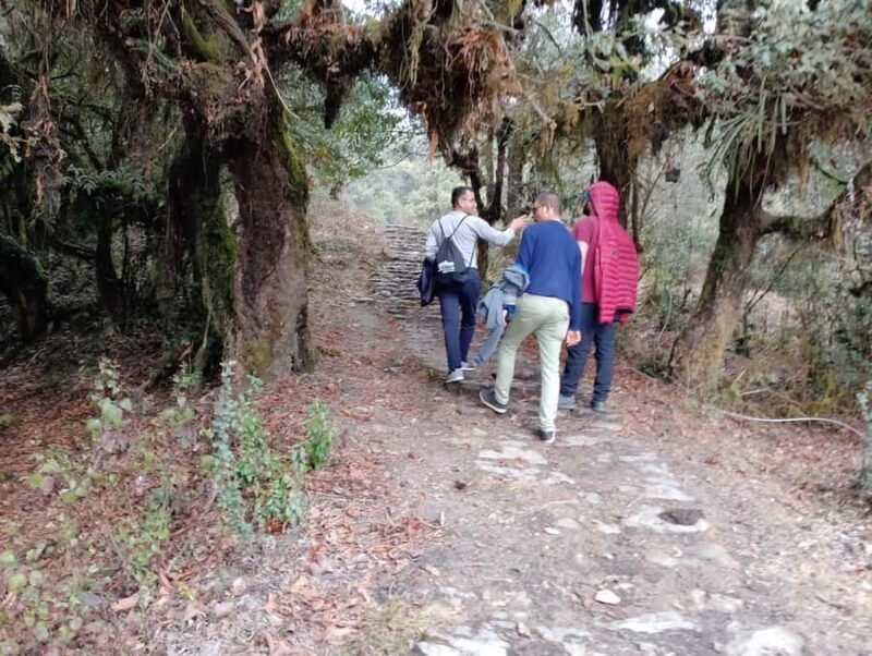 From Pokhara: SarangkotPanchase Heritage & Nature Trek - Authentic Experiences and Traveler Insights