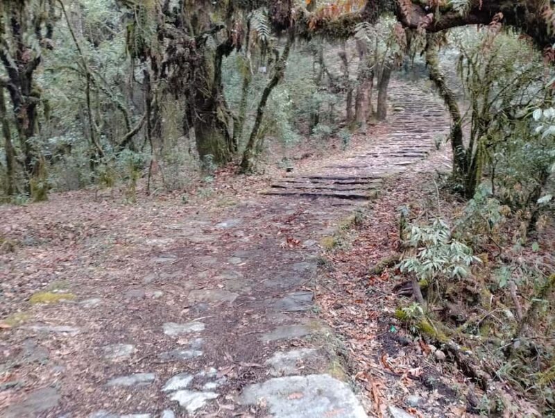 From Pokhara: SarangkotPanchase Heritage & Nature Trek - FAQ