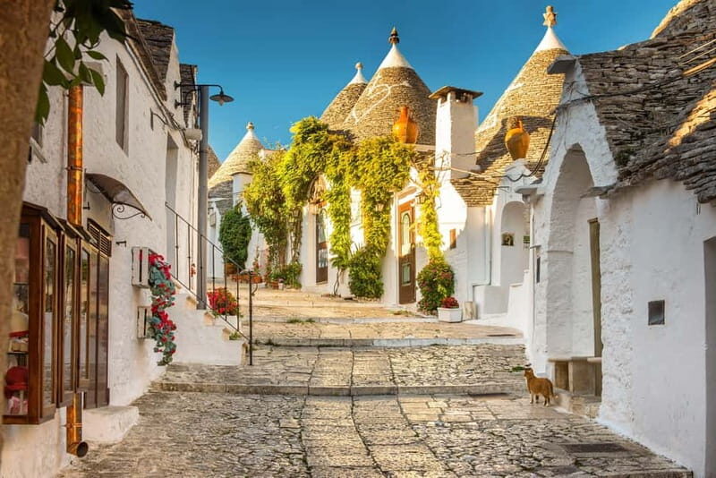 From Polignano a Mare: Alberobello Guided Tour - Discovering Alberobello’s Trulli: A Guided Tour from Polignano a Mare