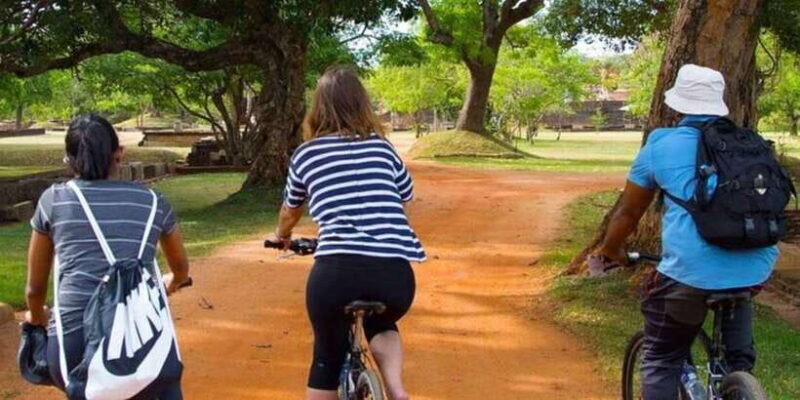 From Polonnaruwa: Ancient City of Polonnaruwa by Bike - What to Expect