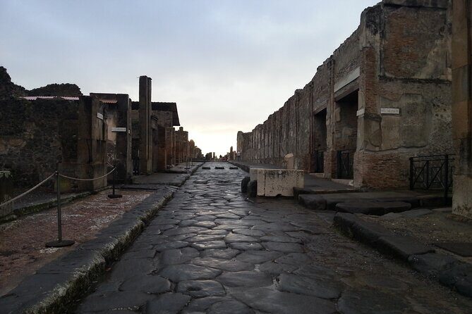 From Pompeii: Full Day Visit of Pompeii and the Mount Vesuvius - What Travelers Say: Authentic Perspectives
