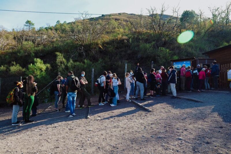 From Pompeii: Mount Vesuvius Guided Tour with Transfer - The Sum Up