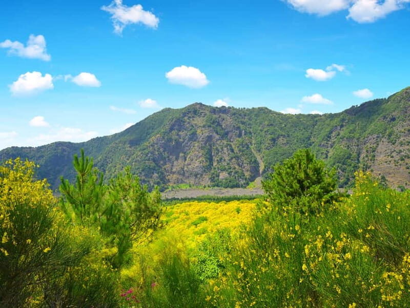 From Pompeii: Mount Vesuvius Hike & Tour by Bus - From Pompeii: Mount Vesuvius Hike & Tour by Bus — A Practical Guide