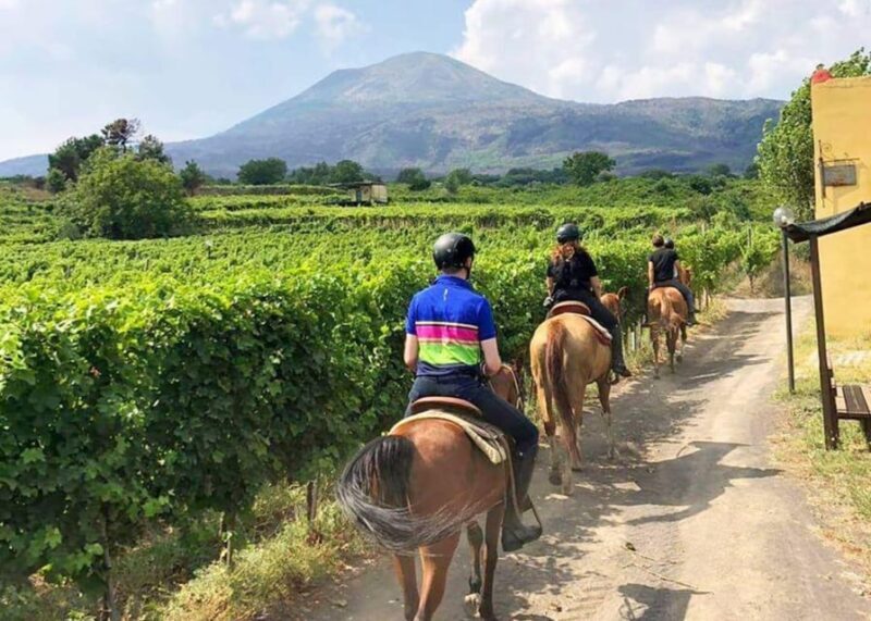 From Pompeii: Mount Vesuvius Horseback Riding Tour - Key Points