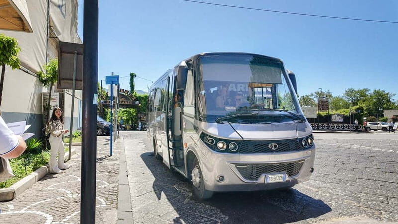 From Pompeii: Mount Vesuvius with bus, ticket and audioguide - Value and Practicality
