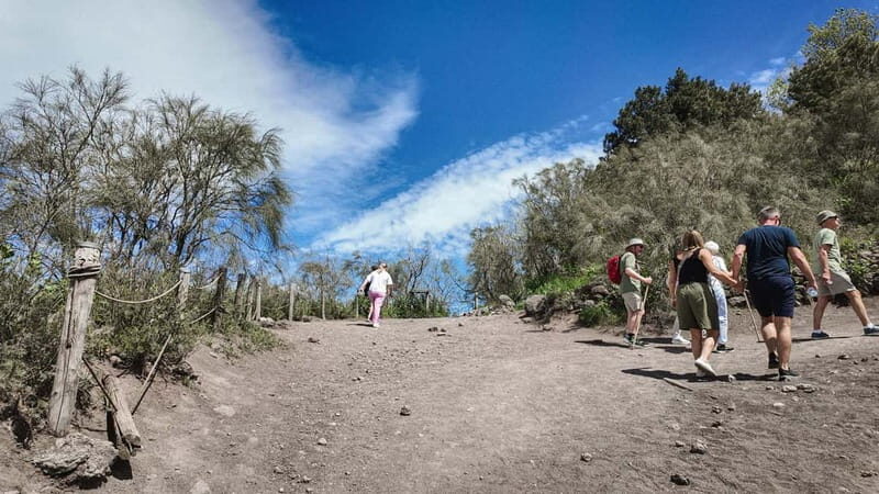 From Pompeii: Mount Vesuvius with bus, ticket and audioguide - Who Should Consider This Tour