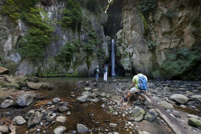 From Ponta Delgada: Guided Walking Tour to Salto do Cabrito - Practical Details and Tips