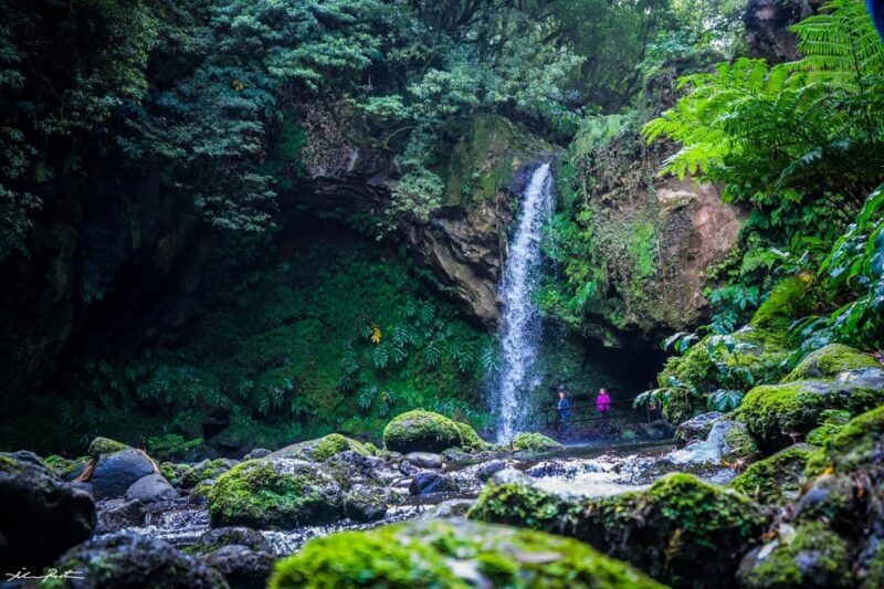 From Ponta Delgada: Hiking Moinho do Félix - Final Words: Who Should Take This Tour?